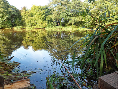 The Intrepid Piscator: Redmire Pool 2013