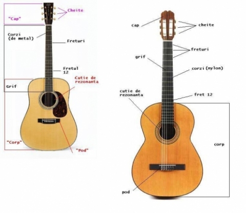 Care sunt diferentele dintre o chitara acustica (western) si una ...