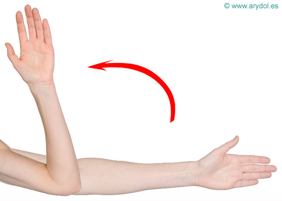 ANATOMÍA Y FISIOLOGÍA I - UI 1: noviembre 2015