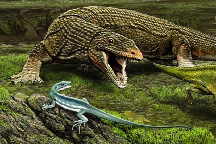 Old Maps, Expeditions and Explorations: Obamadon lizard named after ...