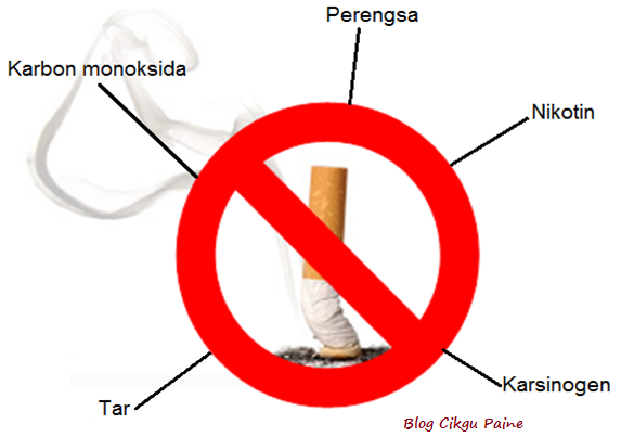 Blog Cikgu Paine: Kepentingan Sistem Respirasi Yang Sihat