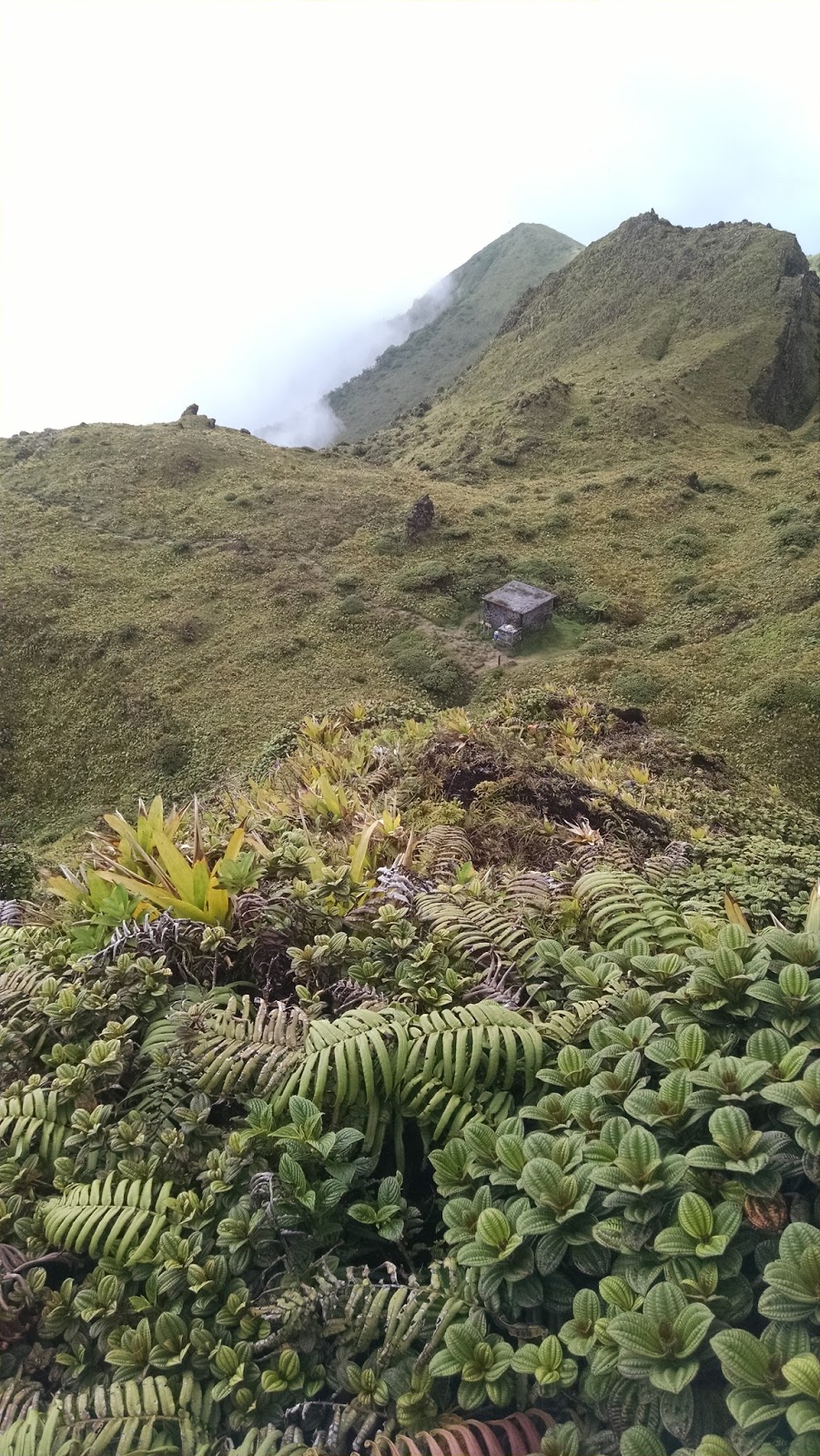 Close Quarters: Hiking Martinique: Mt. Pelee
