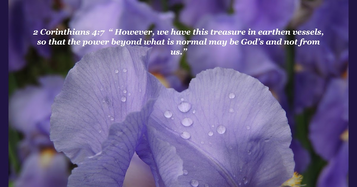 Anita Daly Photography: 2 Corinthians 4:7