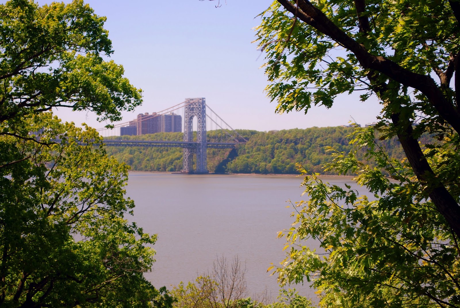 Mille Fiori Favoriti: Fort Tryon Park and Heather Garden