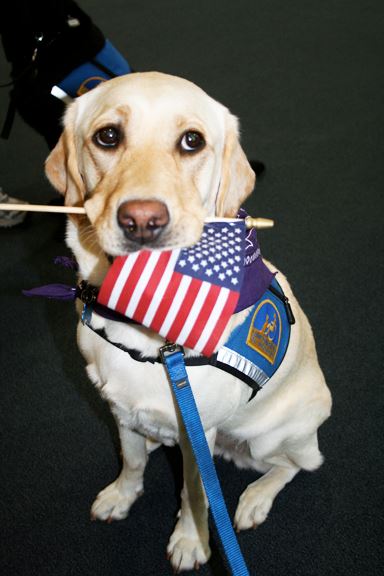 Paws Up For Patriots