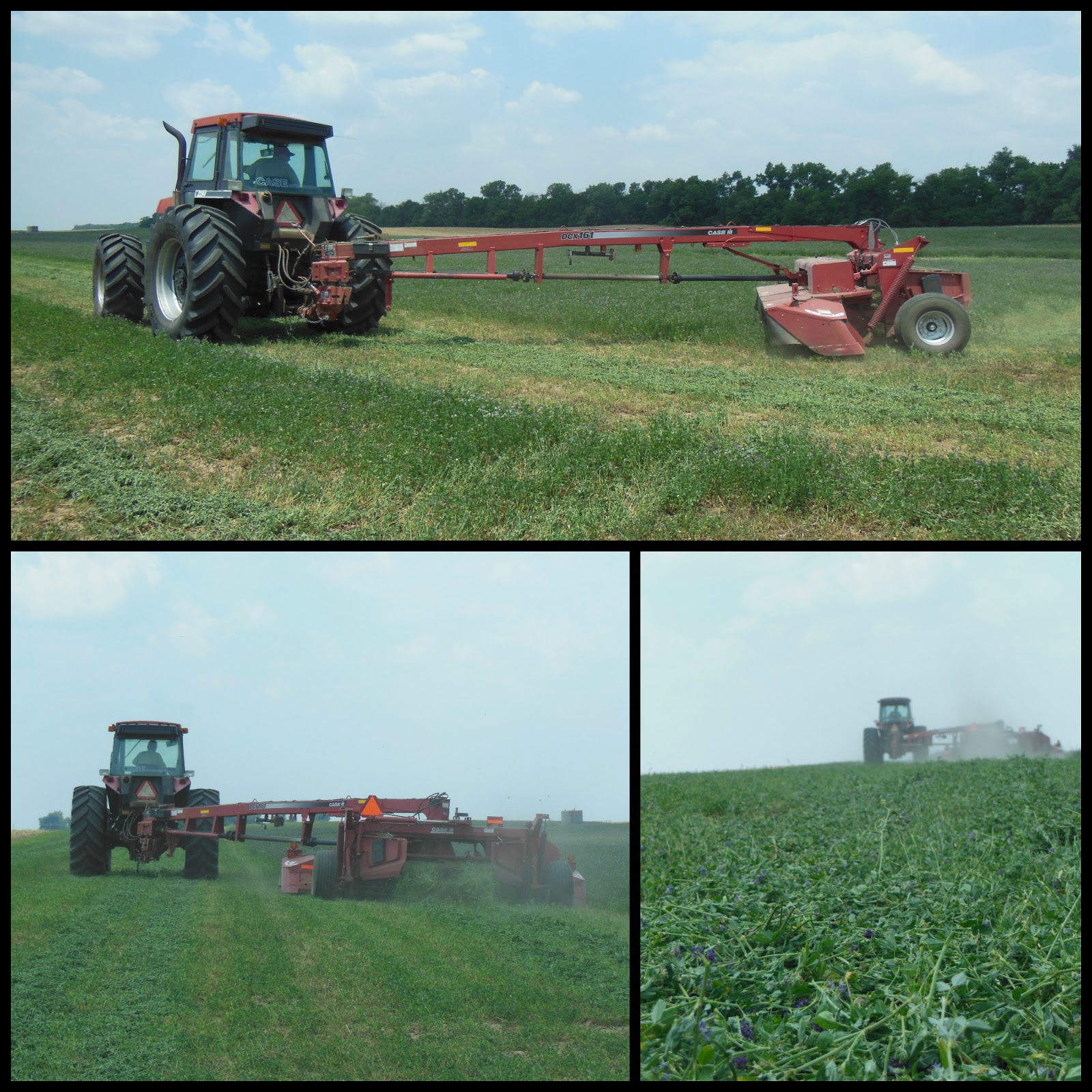 Kim's County Line: A Different Harvest