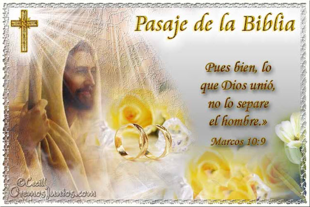 Vidas Santas: Santo Evangelio según san Marcos 10:9