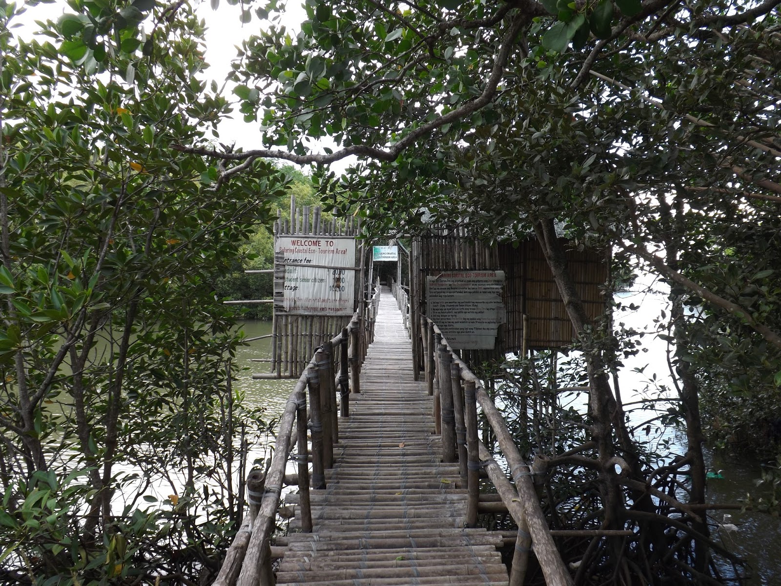 BALARING MANGROVE ECO-TOURISM PARK - Touristang Pobre
