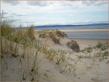 Camerons Cottage Diary Loch Ness: Culbin sands Nature Reserve.