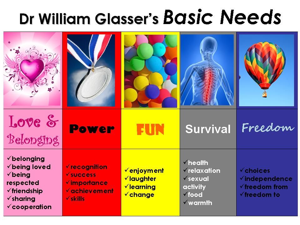A Journey To Become A Professional Helper 62713 5 Basic Needs Of A Journey To Become A Professional Helper 62713 5 Basic Needs Of