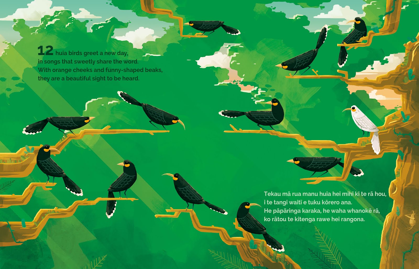 Oratia: Telling the huia bird's touching story in te Reo and English ...