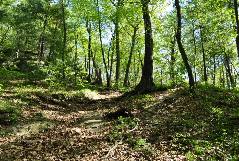 All Things Outdoors: Middlesex Fells Skyline Trail