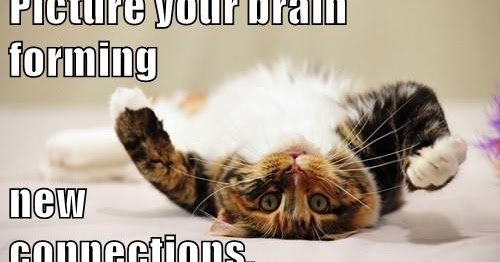 Growth Mindset & Feedback Cats: Picture your brain forming new connections.