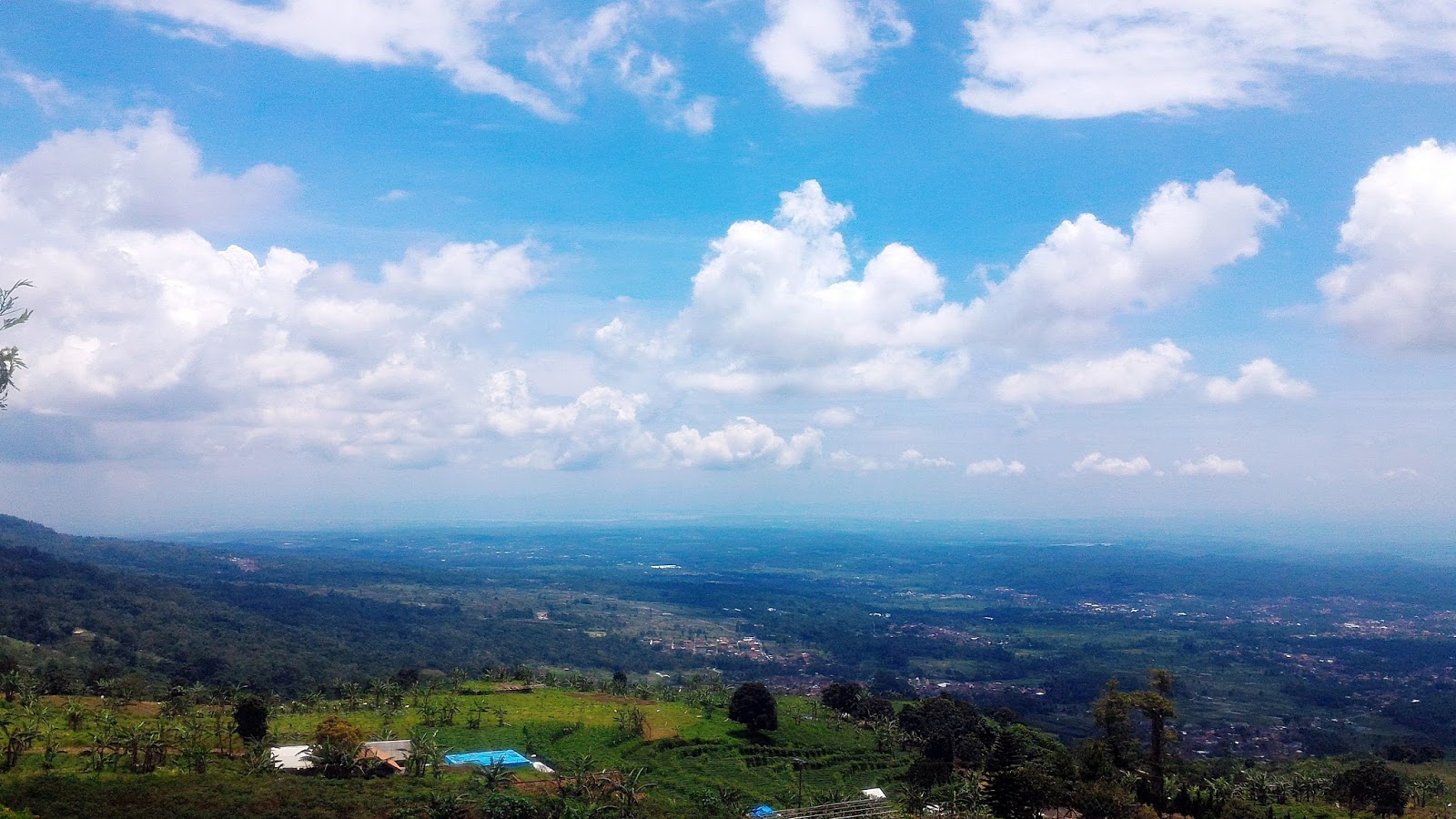 Everything: Sukageuri View