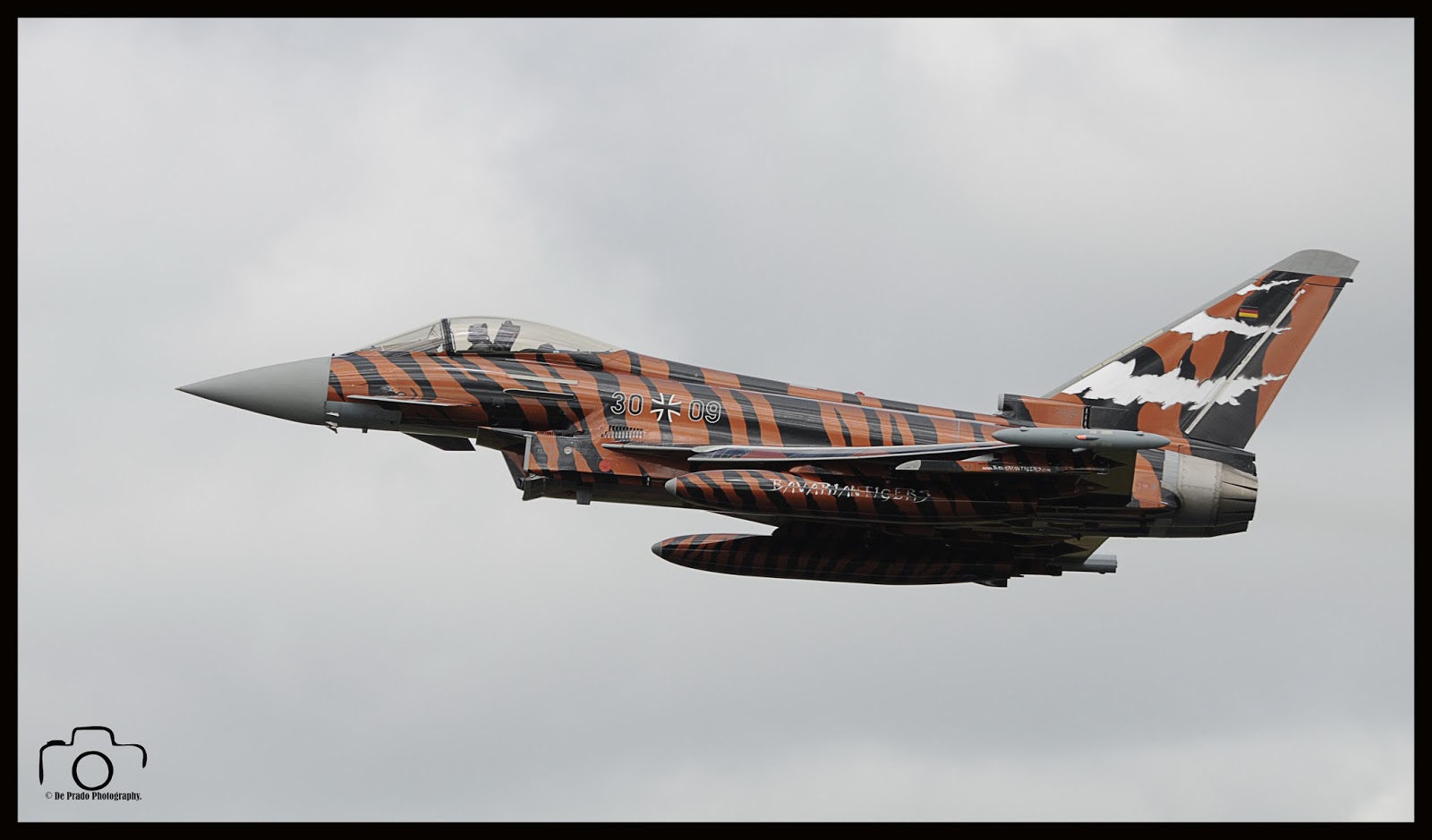 TIGER MEET 2014 - BALANÇO (M1638 - 200PM/2014) ~ PÁSSARO DE FERRO