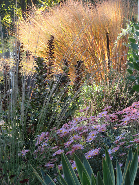 Autumn Color, Autumn Projects