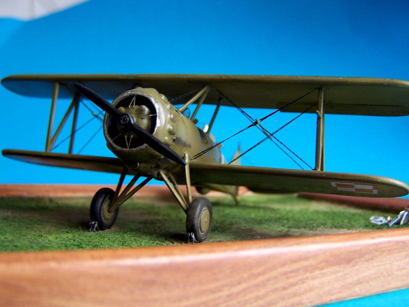 Modele z Szachownicą: PWS 16 bis (luty 2009, Lotnictwo II RP # 1)