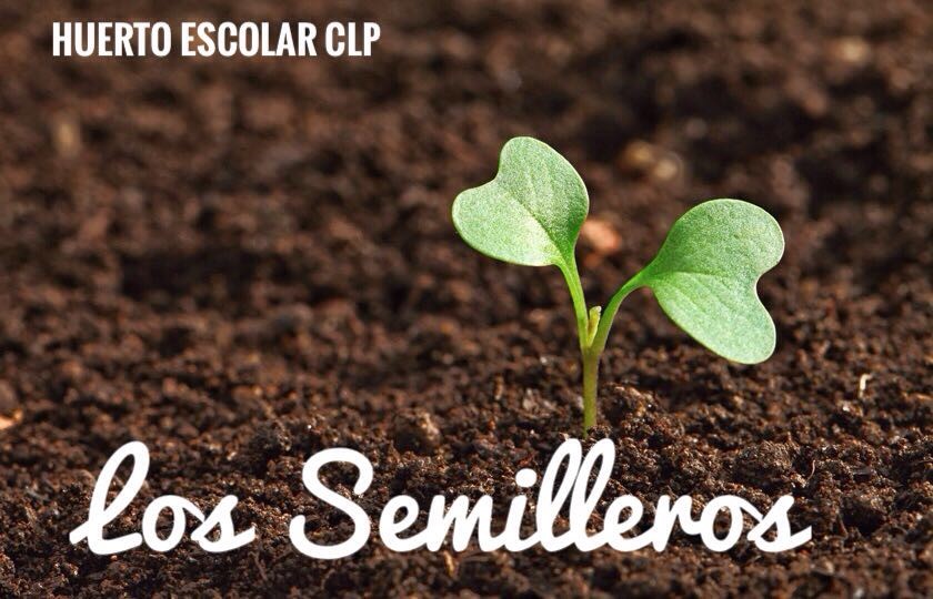 Huerto Escolar "Colegio La Presentación": Los Semilleros