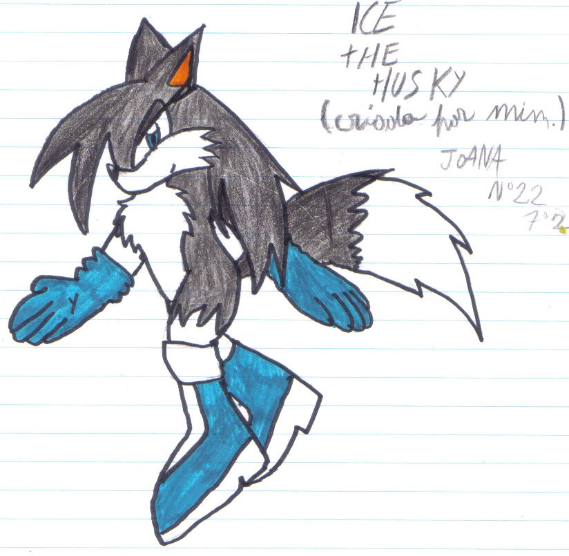 Jay's archive, old drawings and old junk: Sonic FC - Ice the Husky