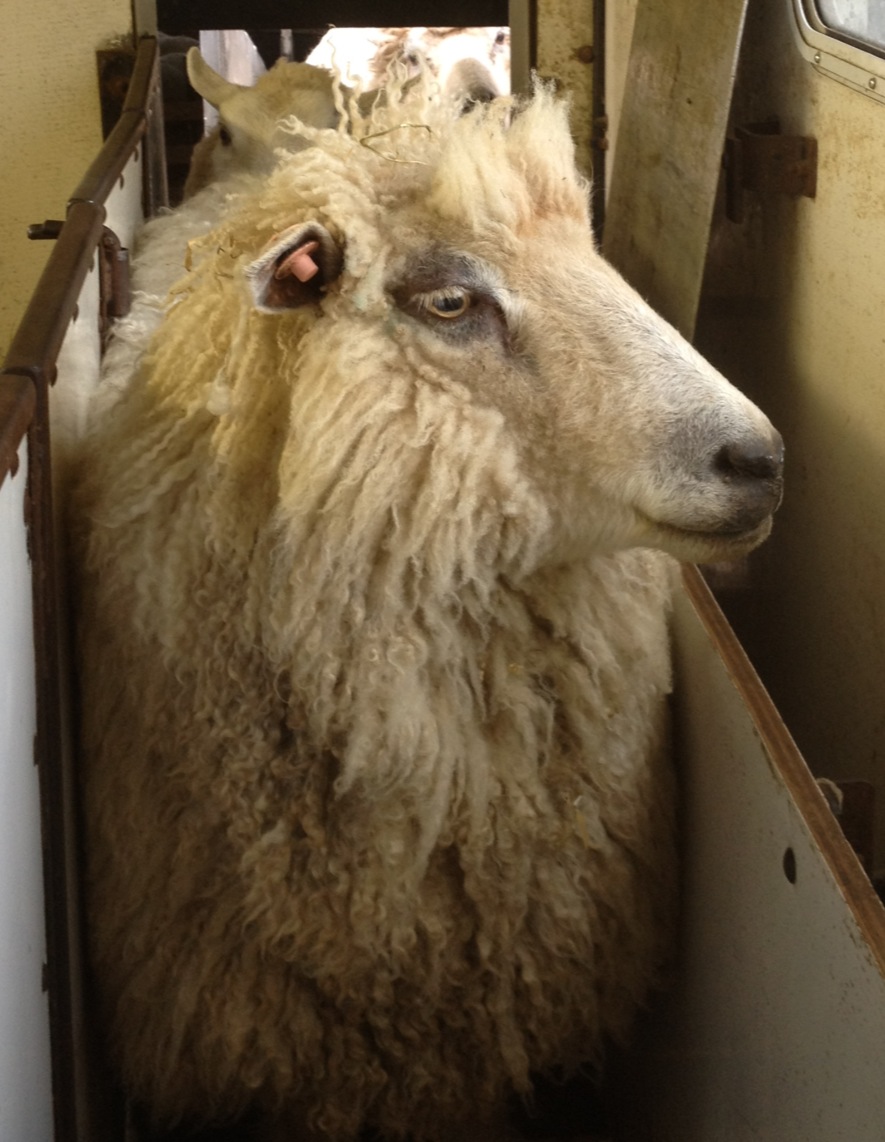 Punkin's Patch: February 2012