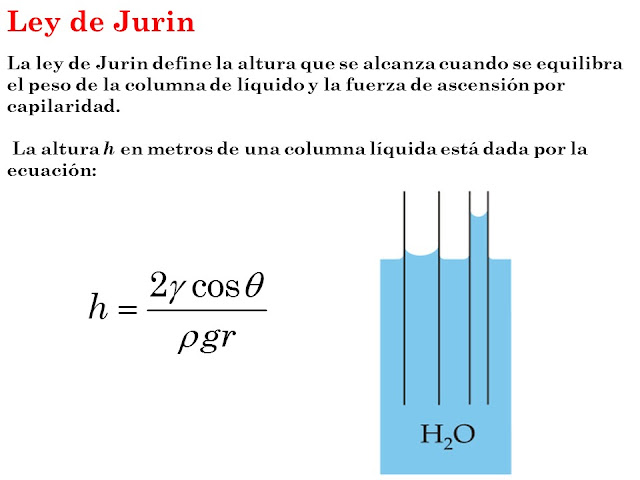 Física: Presentación Capilaridad