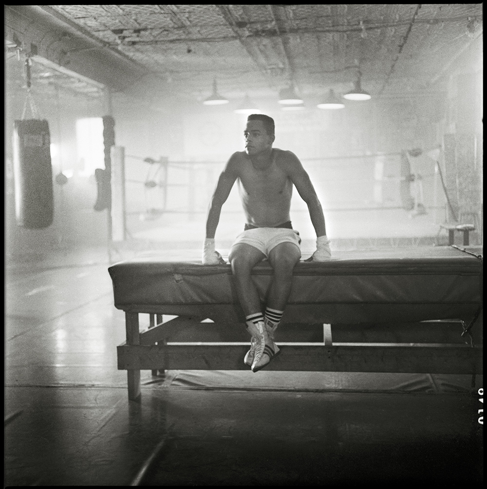 some old pictures I took: The Boxer