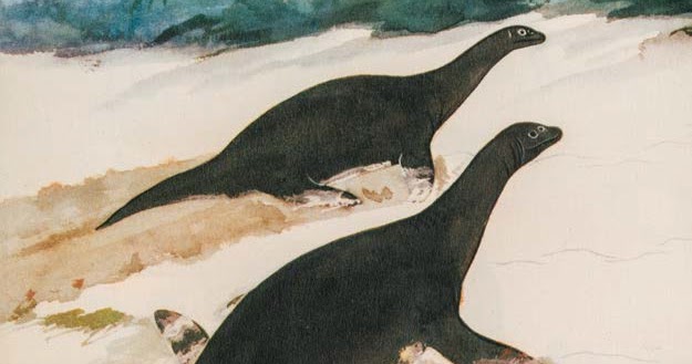 Mark P. Witton's Blog: Plesiosaurs on the rocks: the terrestrial ...