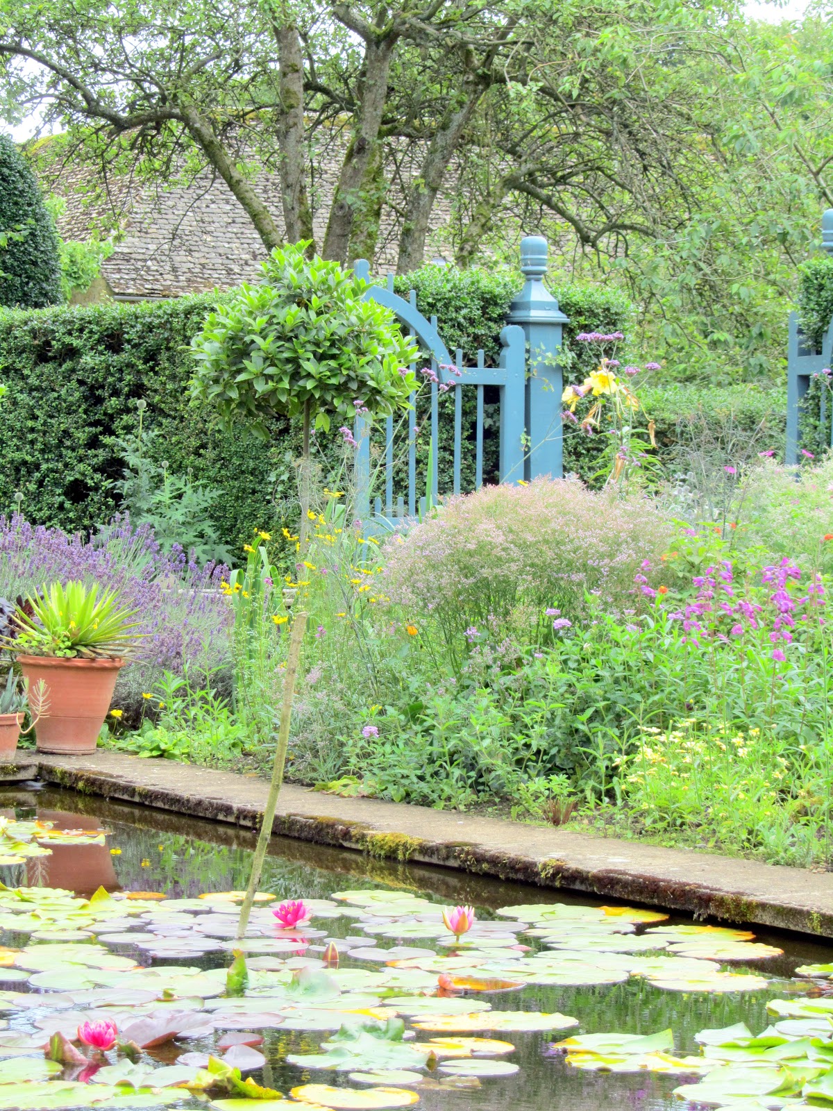 Madelief: Hidcote manor gardens