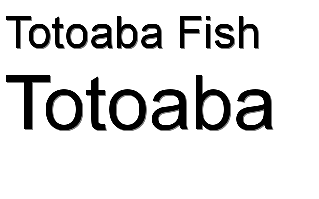 Totoaba - Totoaba Fish