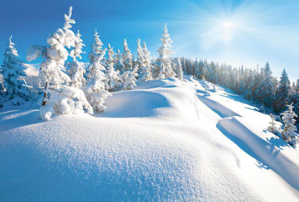 SECTIA IMPRUMUT CARTE PENTRU COPII: ISTORIA ZILEI DE 18 IANUARIE