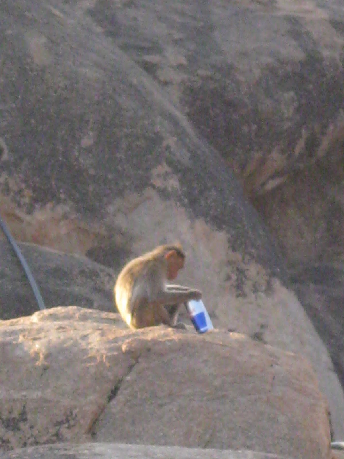 ...for those who can't wait for the slide show.