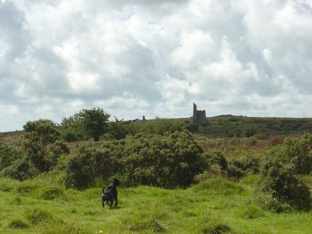 Stars & Fish: Out on the wily, windy moors