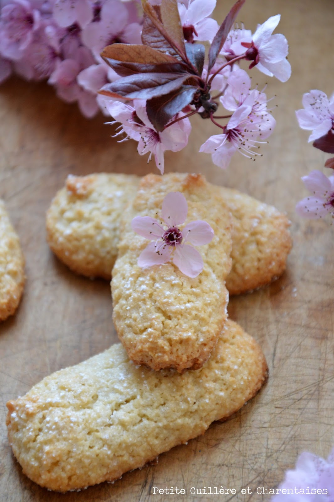 Petite Cuillère et Charentaises: Les Massepains de Saint-Léonard-de ...