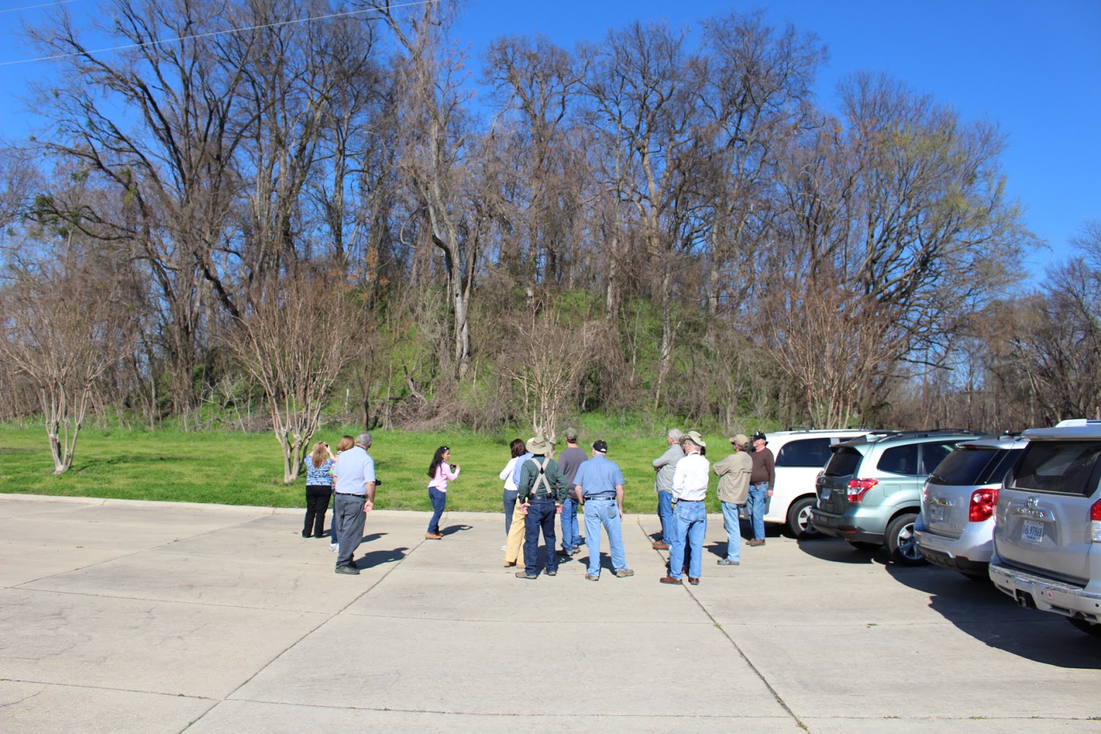 Tony's Mississippi Archaeology Blog
