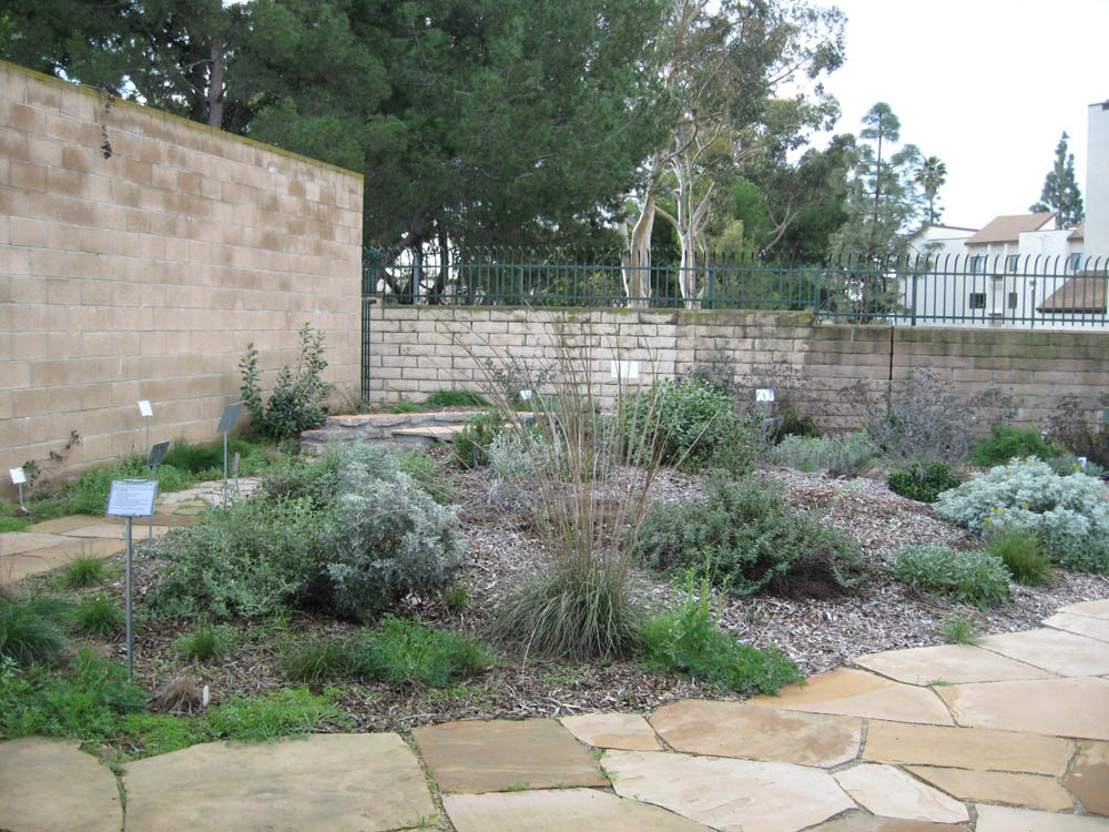 Mother Nature's Backyard - A Water-wise Garden: Getting to Know Your ...