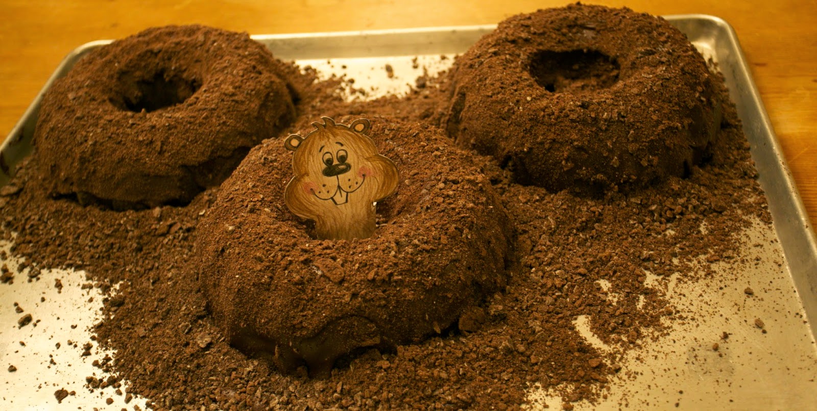 Happy Ground Hog Day