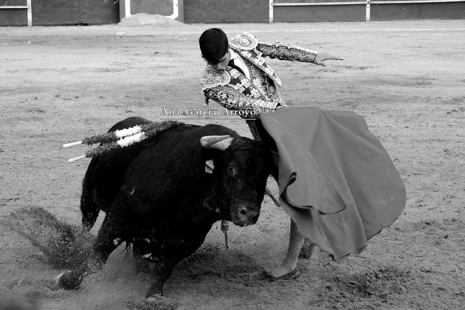 TOROS desde la Barrera