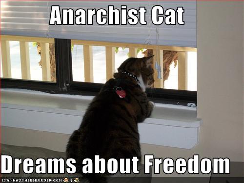 The Streetlamp Doesn't Cast Her Shadow Anymore: Cats for Chaos! An ...