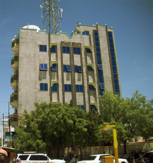 HORN-WATCH: SOMTEL the leading Telecommunication company in the Horn of ...