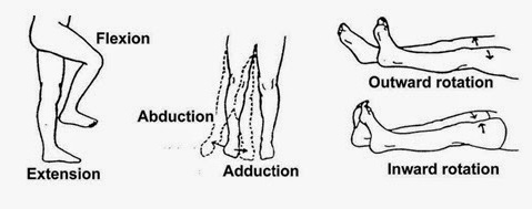 Rom Dalam Keperawatan - Perumperindo.co.id