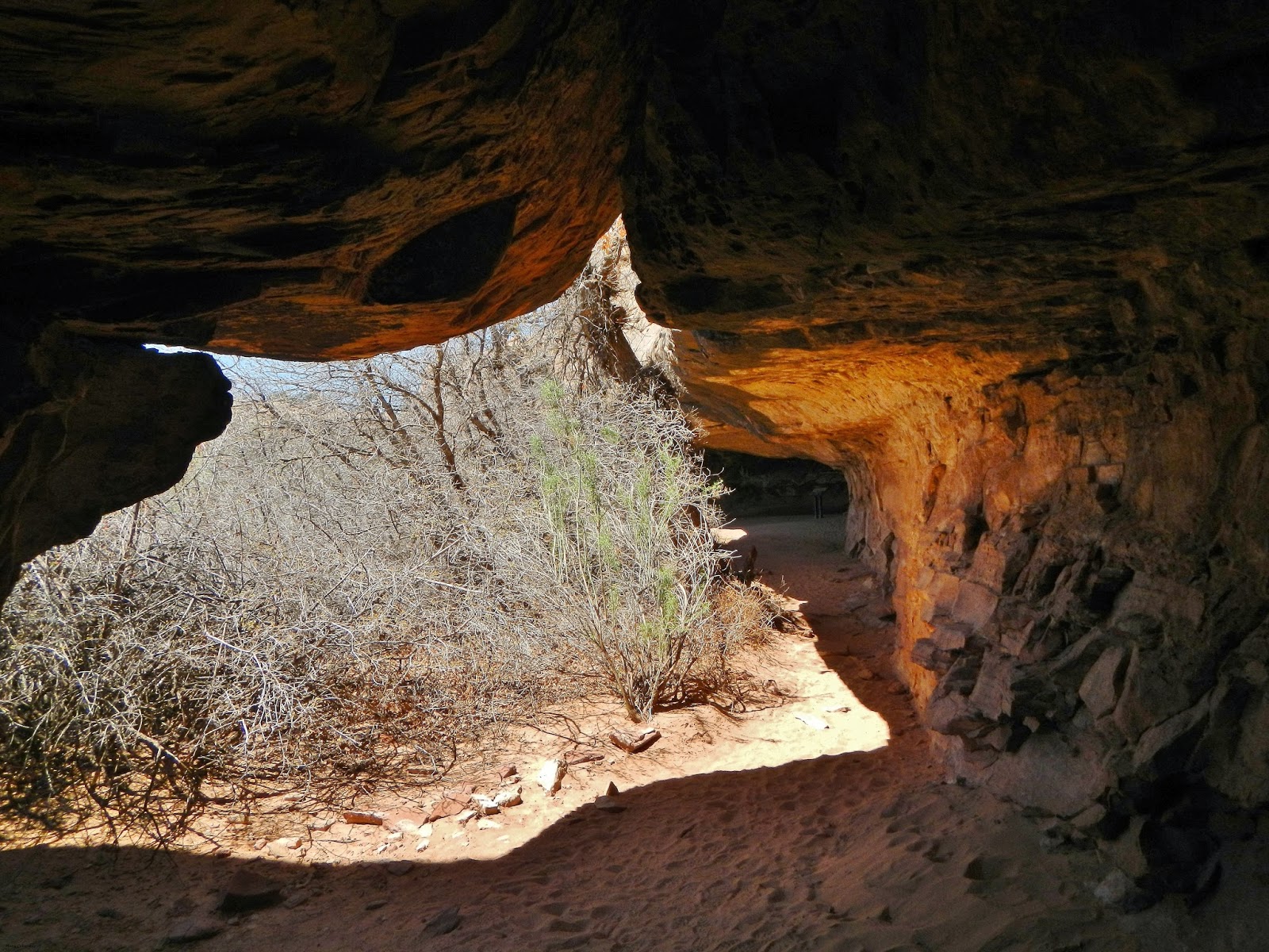 The Southwest Through Wide Brown Eyes: Canyonlands, the Needles ...