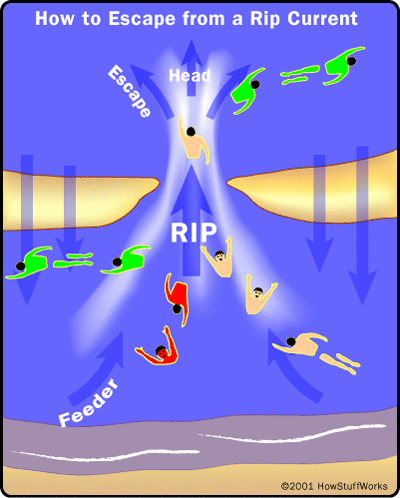 Preview Beach Blog: Rip Tide Safety {A Must Read before your next beach ...
