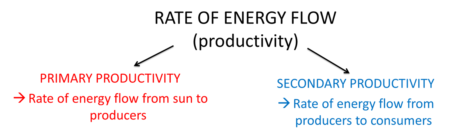 What I learnt in Biology this week.....: Energy transfers within ecosystem