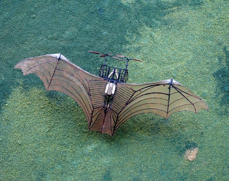 Clement Ader Avion III, DR Design multimedia 1/72nd scale kit - Ready ...