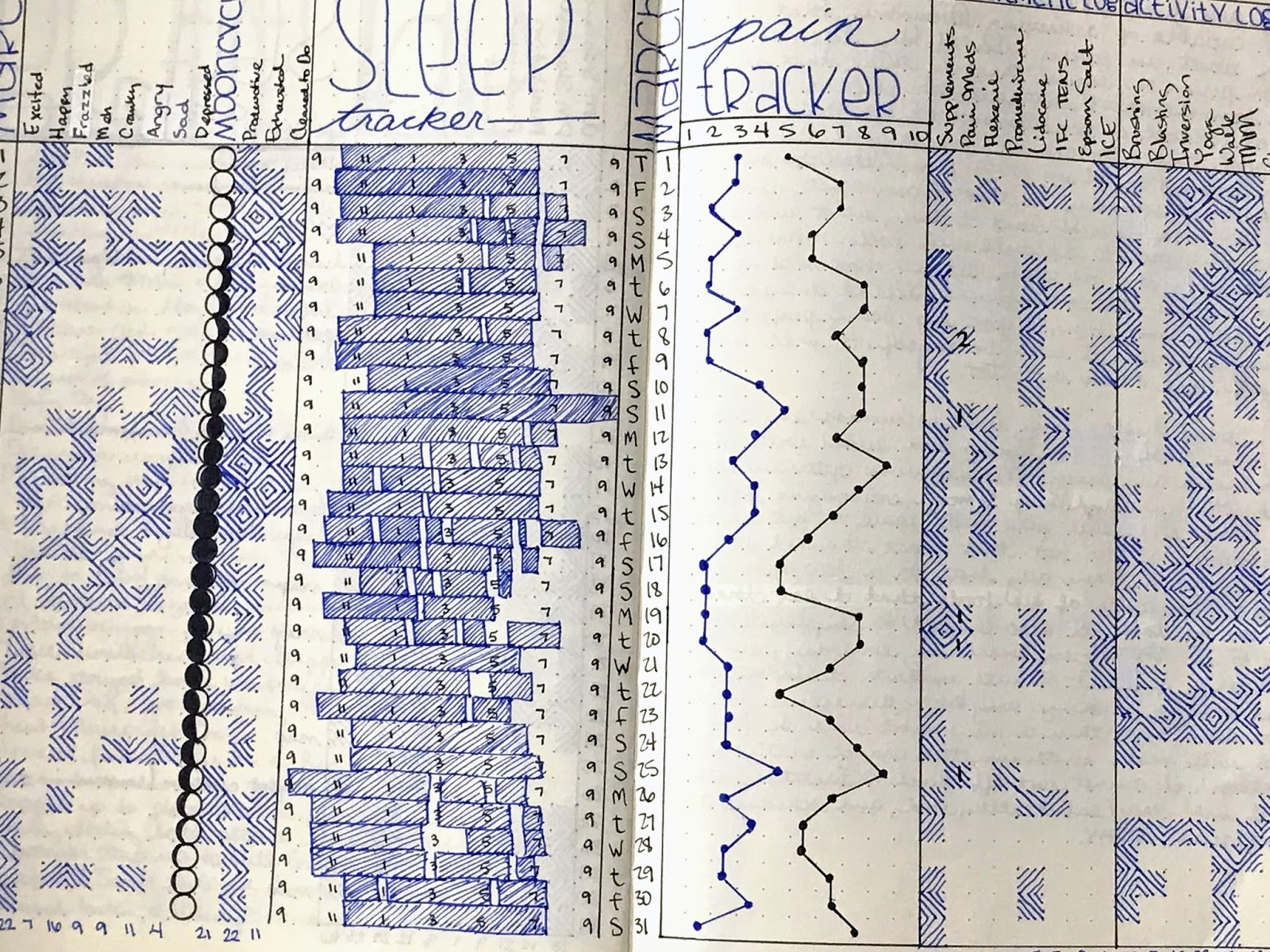 Tracking Energy in a Bullet Journal for Chronic Pain and Illness ...