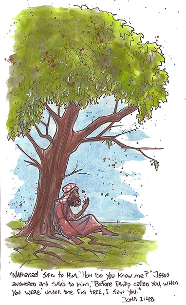 CREEKIFICATION: Bible Illustrations