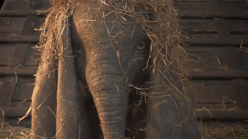 'Dumbo' Takes Flight In First Teaser For Tim Burton's Live-Action ...