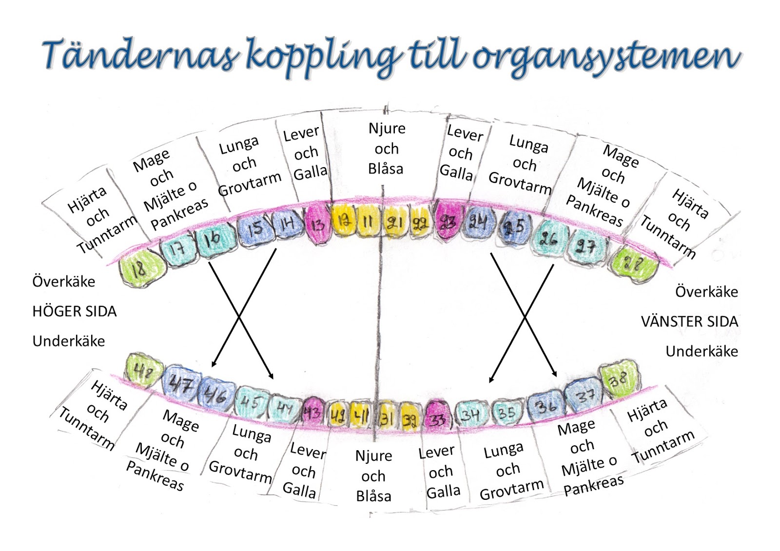 MERIDIANERNA - STORA KRETSLOPPET 1-12 | Elisabeths Blogg