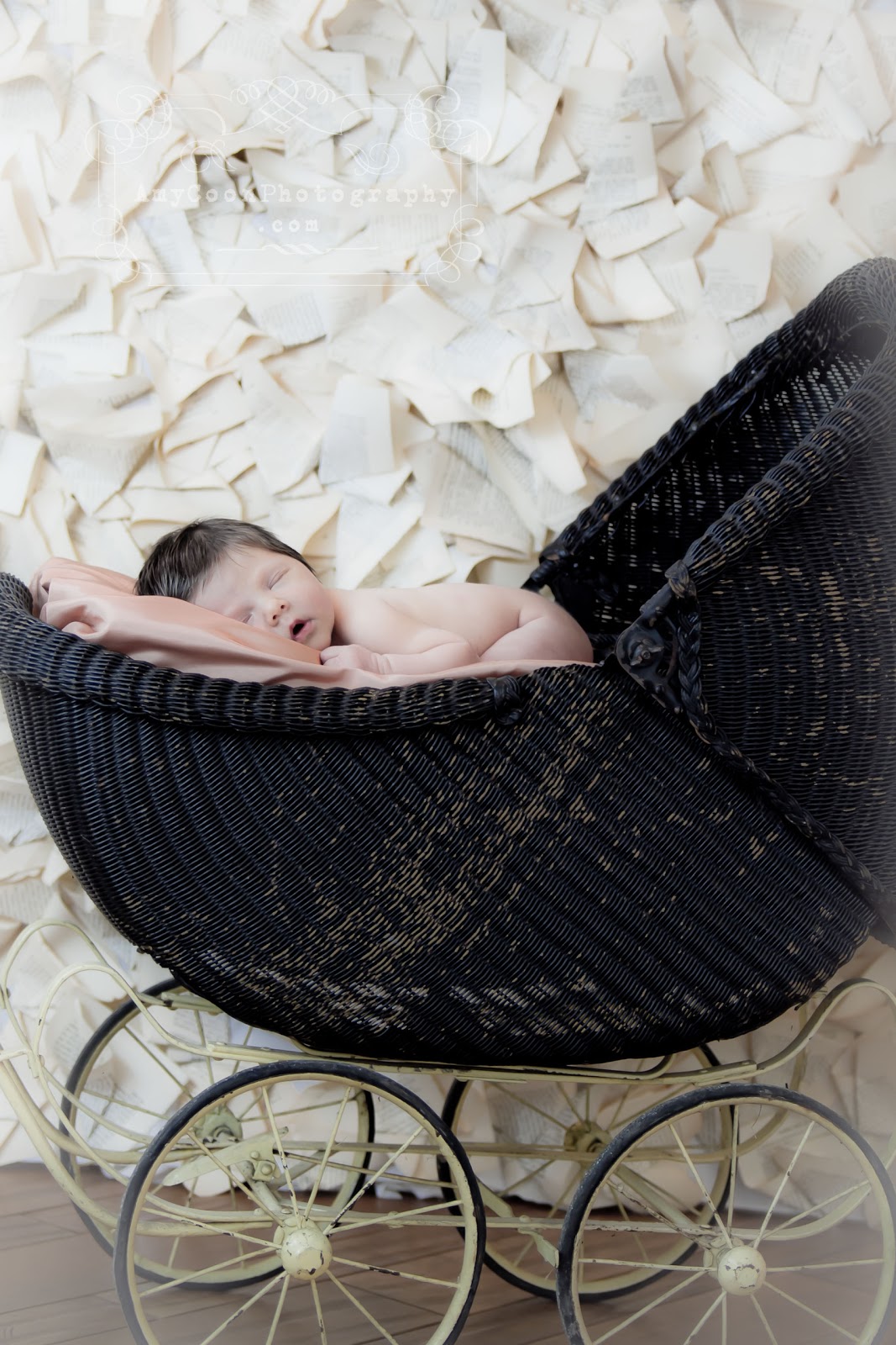 Amy Coon Photography