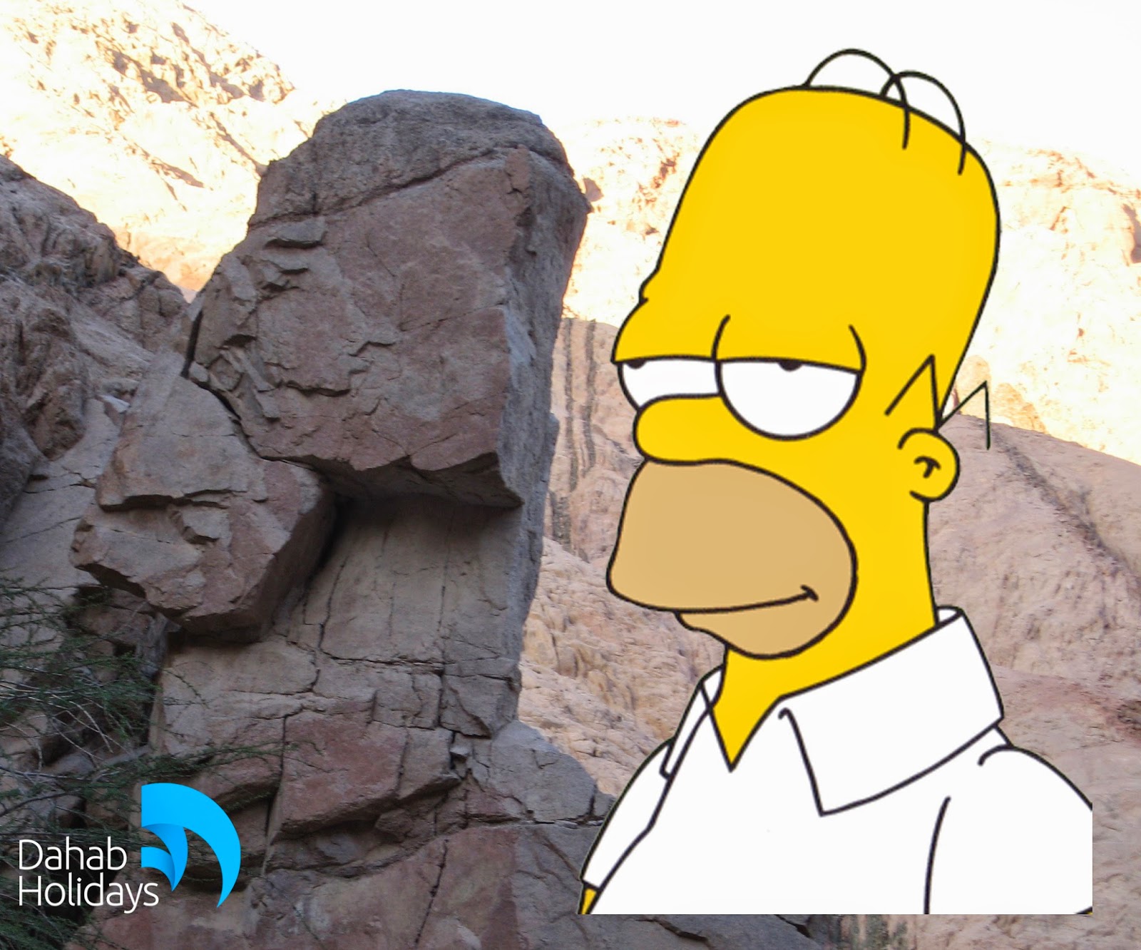 Dahab Holidays: 2014